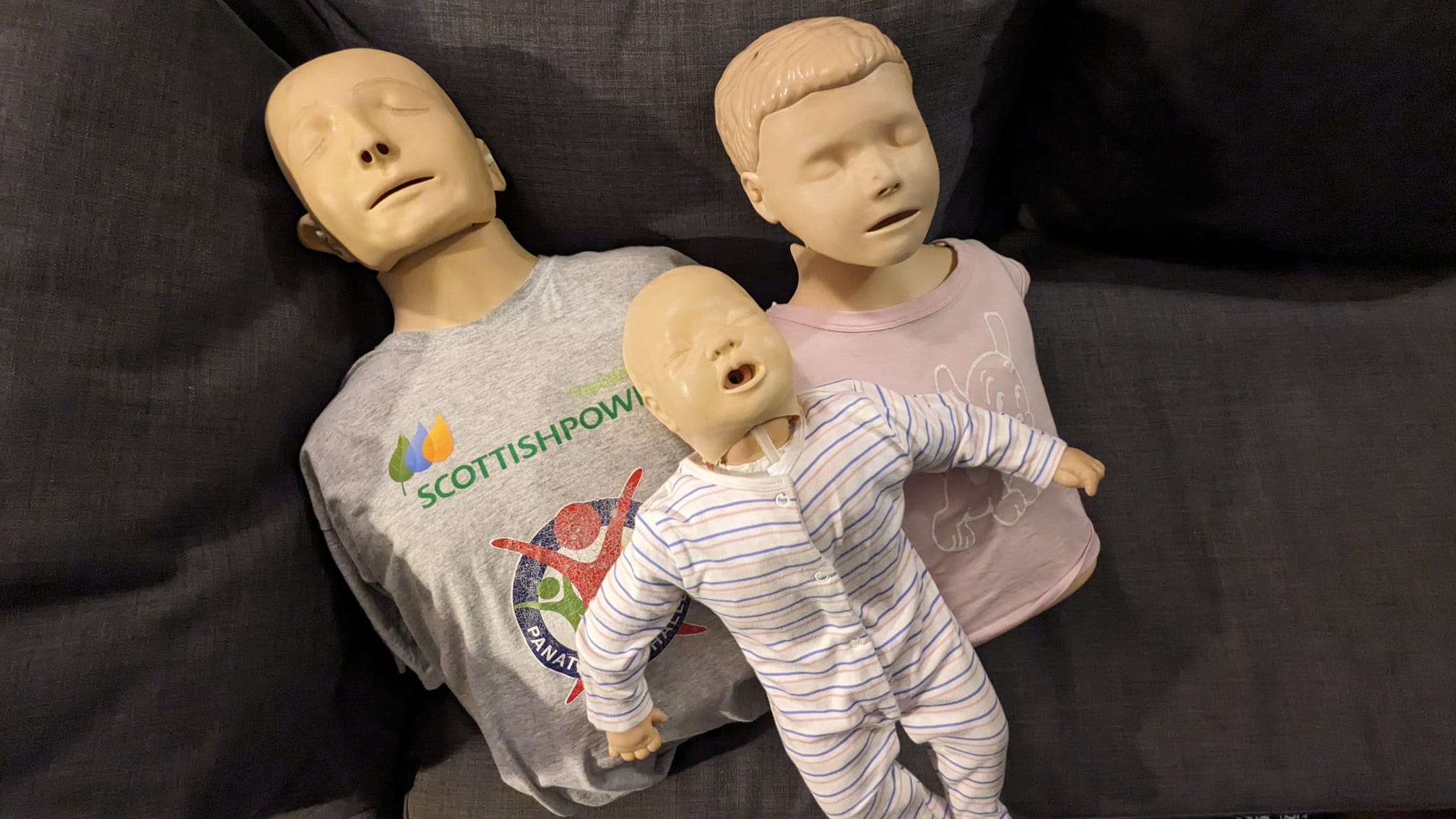 Professional First Aid Training Cambridgeshire | Skills Training for Life