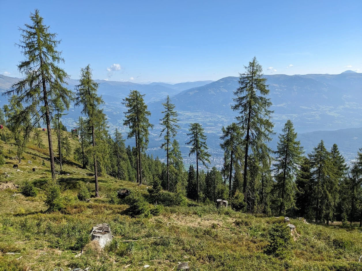 Professional First Aid Training Cambridgeshire | Skills Training for Life